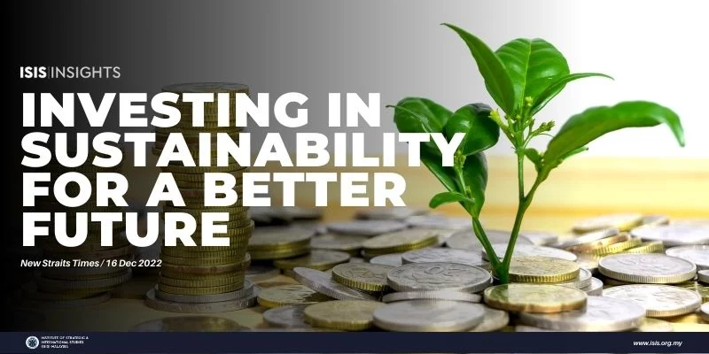 Investing in sustainability for a better future | ISIS