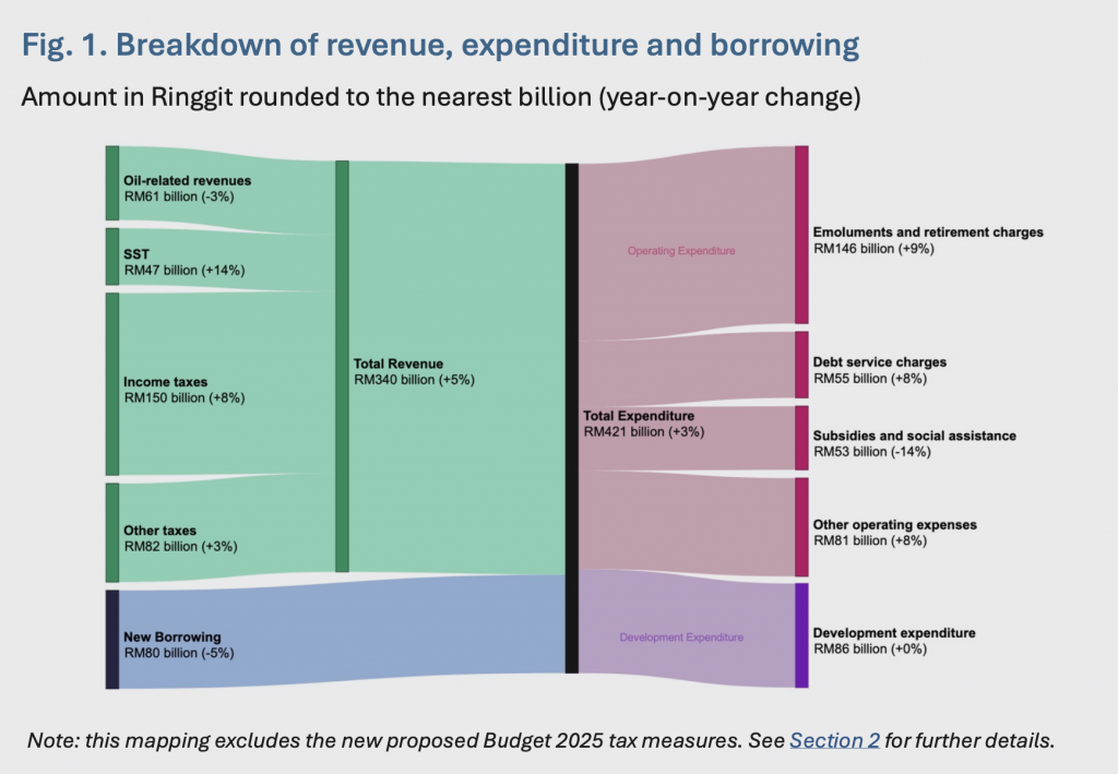 Policy insights into Budget 2025: fiscal reforms, social protection ...