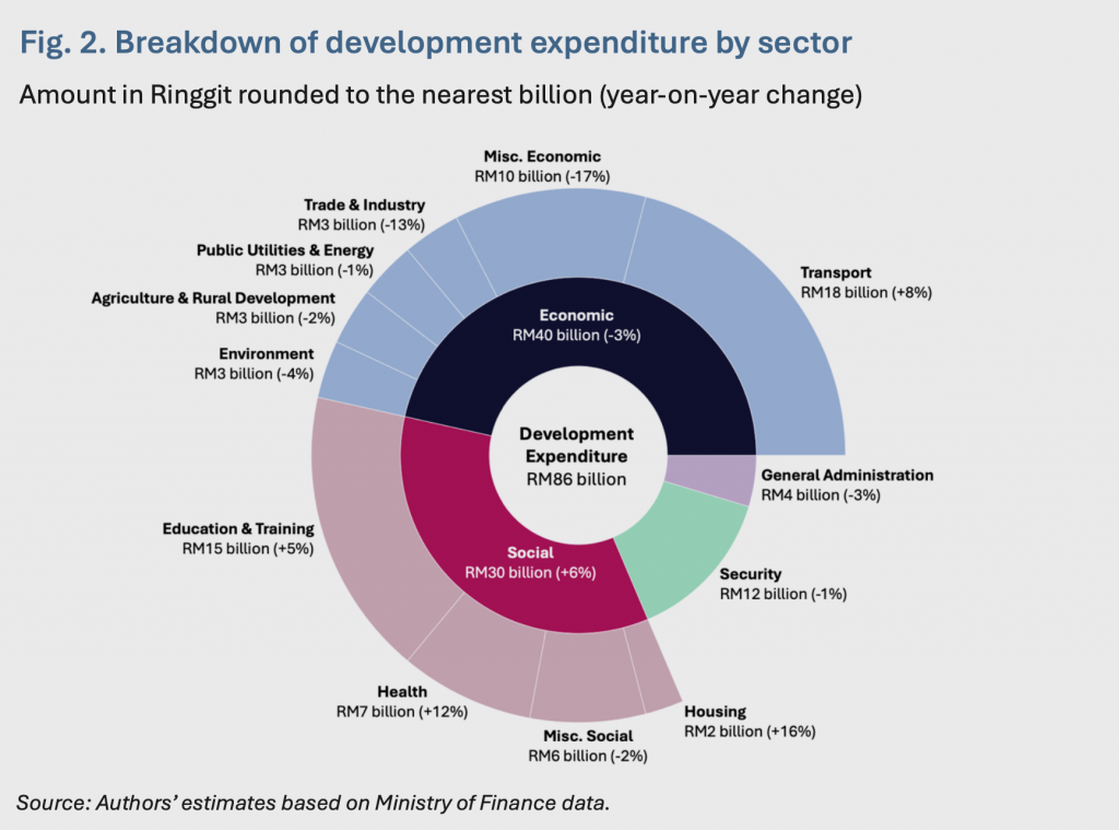 Policy insights into Budget 2025: fiscal reforms, social protection ...
